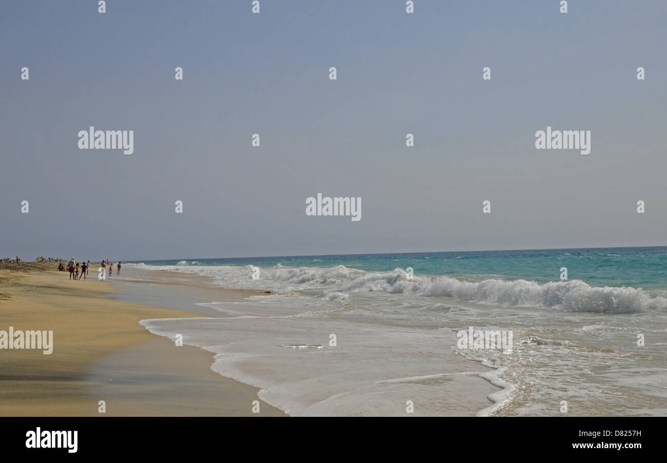 Ponta preta -Fotos und -Bildmaterial in hoher Auflösung – Alamy