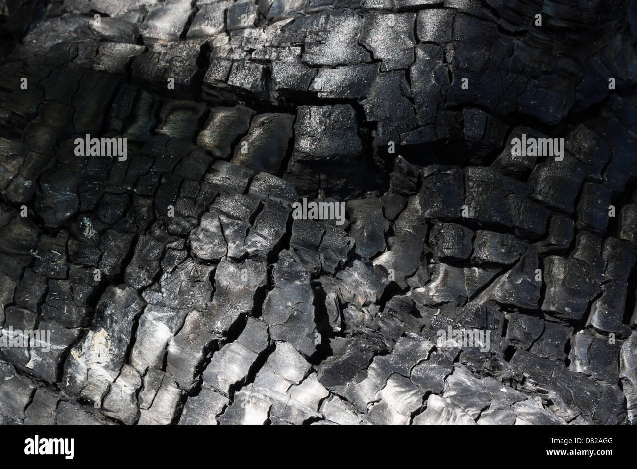 Vom feuer verbrannt -Fotos und -Bildmaterial in hoher Auflösung – Alamy