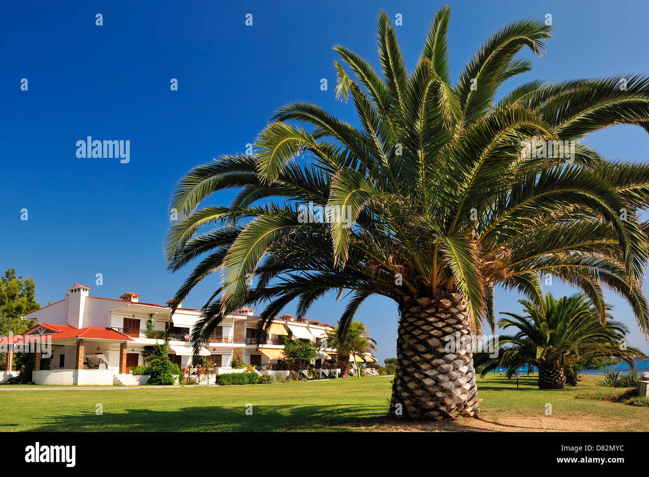 Haus mit palmen -Fotos und -Bildmaterial in hoher Auflösung – Alamy