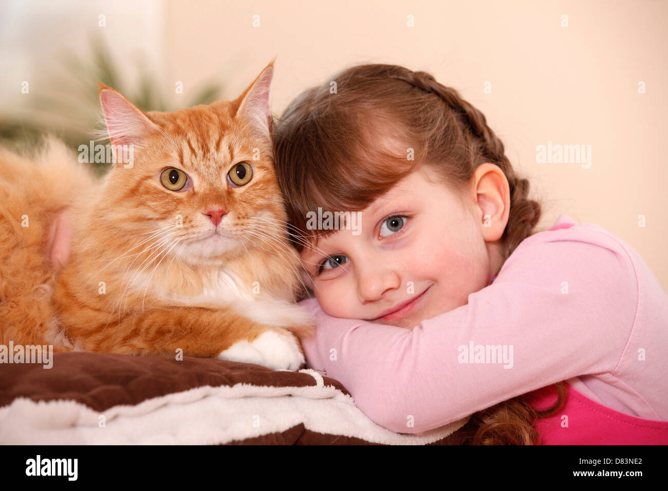 Hauskatze kind -Fotos und -Bildmaterial in hoher Auflösung – Alamy