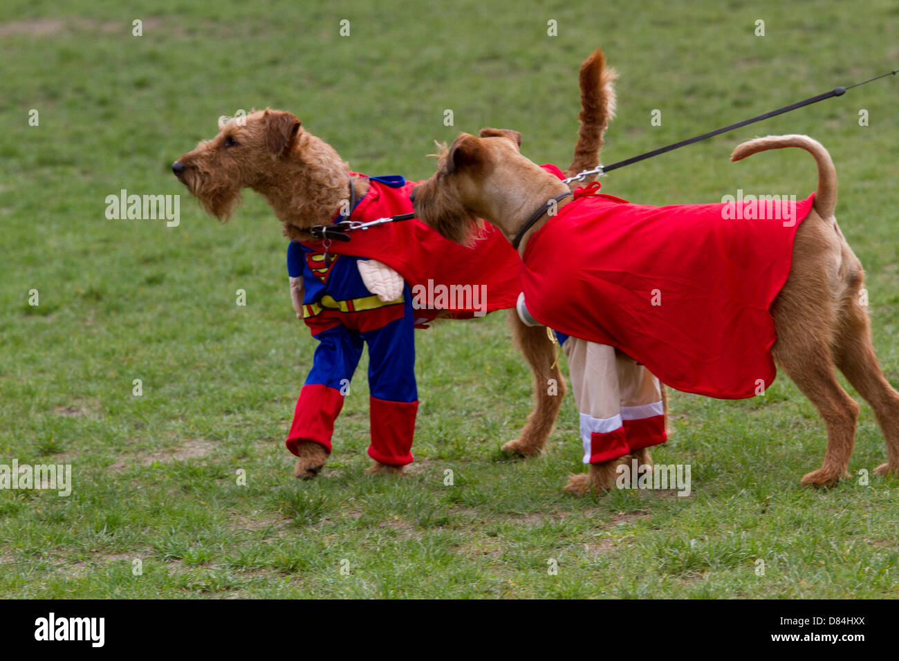 Comic superheld -Fotos und -Bildmaterial in hoher Auflösung – Alamy
