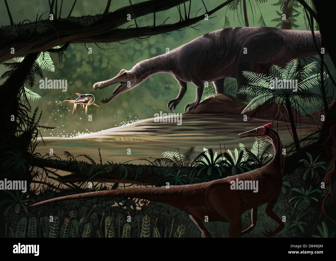 Baryonyx Walkeri Stockfotos und -bilder Kaufen - Alamy