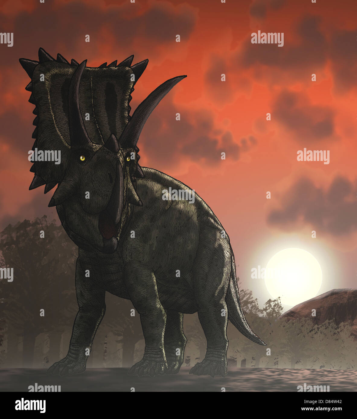 Coahuilaceratops magnacuerna -Fotos und -Bildmaterial in hoher ...