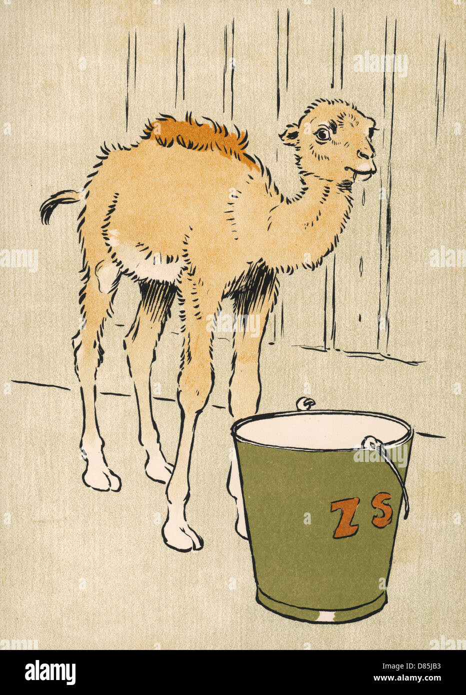 Kamel baby kamel -Fotos und -Bildmaterial in hoher Auflösung – Alamy