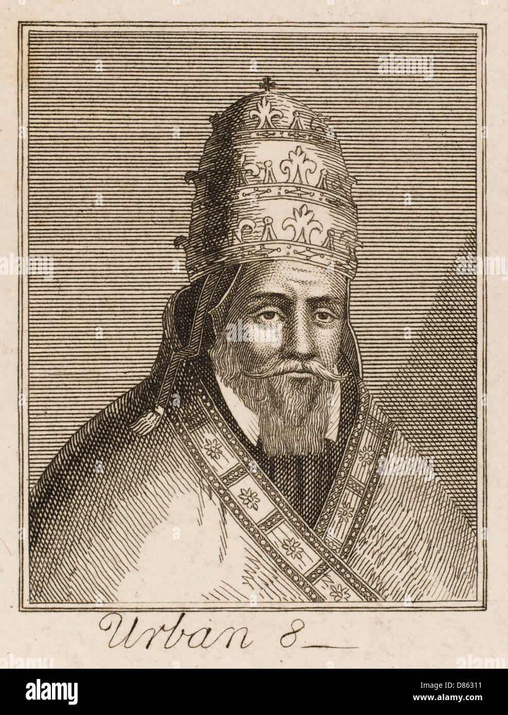 Papst viii -Fotos und -Bildmaterial in hoher Auflösung – Alamy