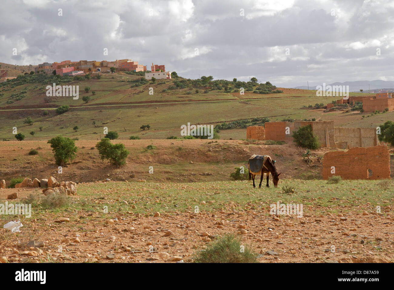 Esel berg -Fotos und -Bildmaterial in hoher Auflösung – Alamy