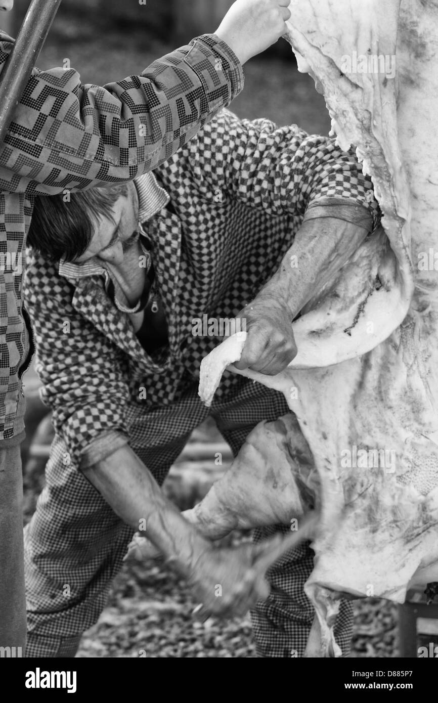 Schlachterin beim schlachten -Fotos und -Bildmaterial in hoher ...