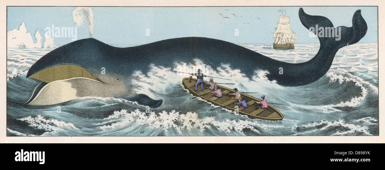 Walfang waljagd walfang -Fotos und -Bildmaterial in hoher Auflösung – Alamy