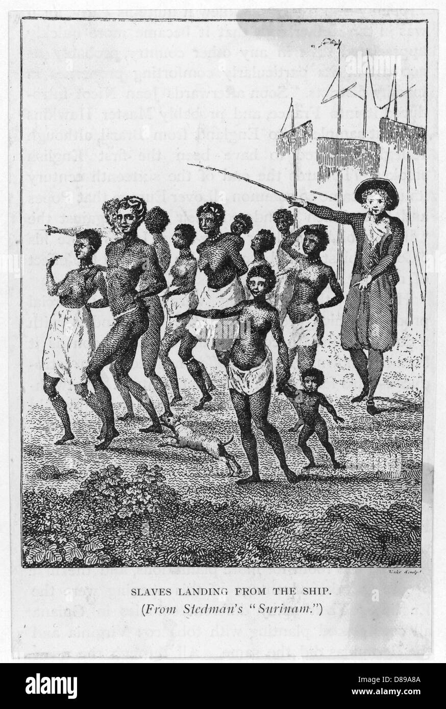 Afrikanische sklaven -Fotos und -Bildmaterial in hoher Auflösung ...