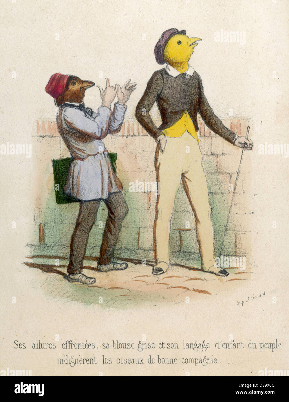 Wie frech -Fotos und -Bildmaterial in hoher Auflösung – Alamy