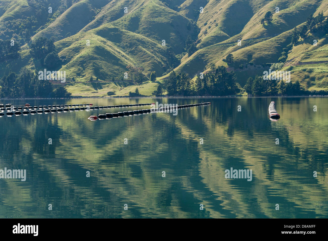Aquakultur in den Klängen einer Muschel-Farm in Cissy Bay, Hallam Cove ...