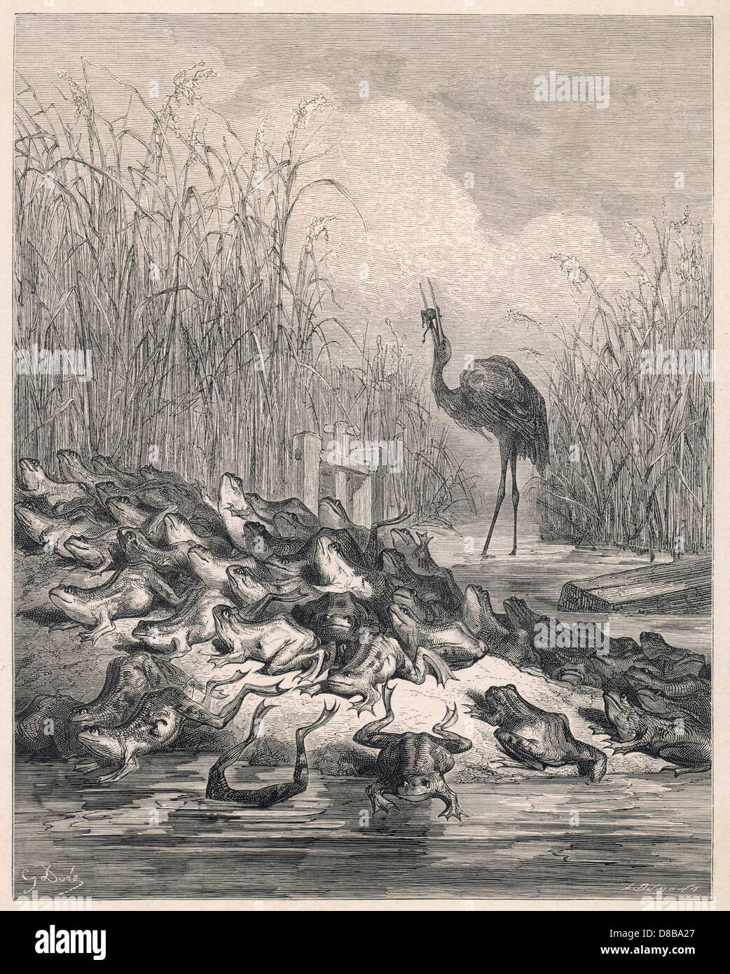 Storch fabeln -Fotos und -Bildmaterial in hoher Auflösung – Alamy