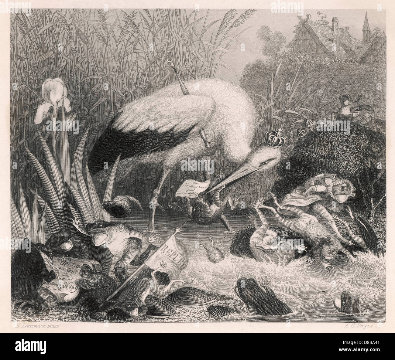 Storch fabeln -Fotos und -Bildmaterial in hoher Auflösung – Alamy