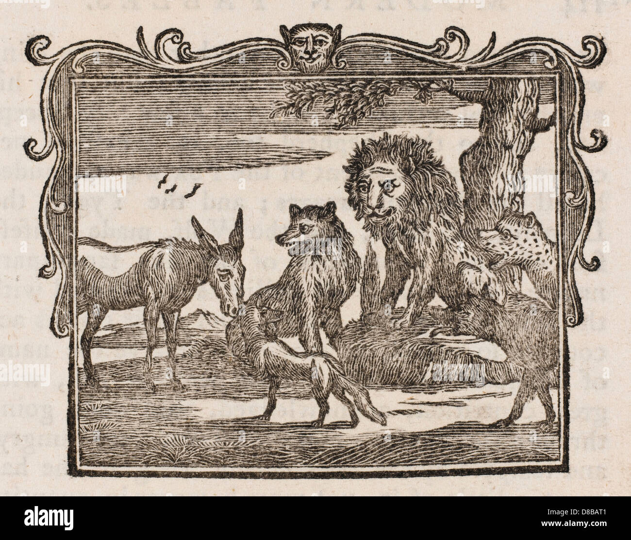 Mehr tiere -Fotos und -Bildmaterial in hoher Auflösung – Alamy