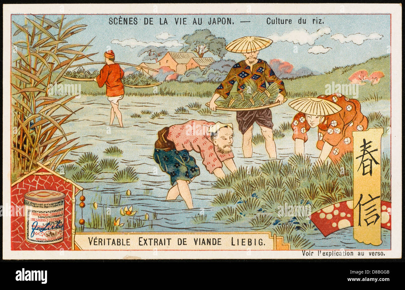 Japan rice field -Fotos und -Bildmaterial in hoher Auflösung – Alamy