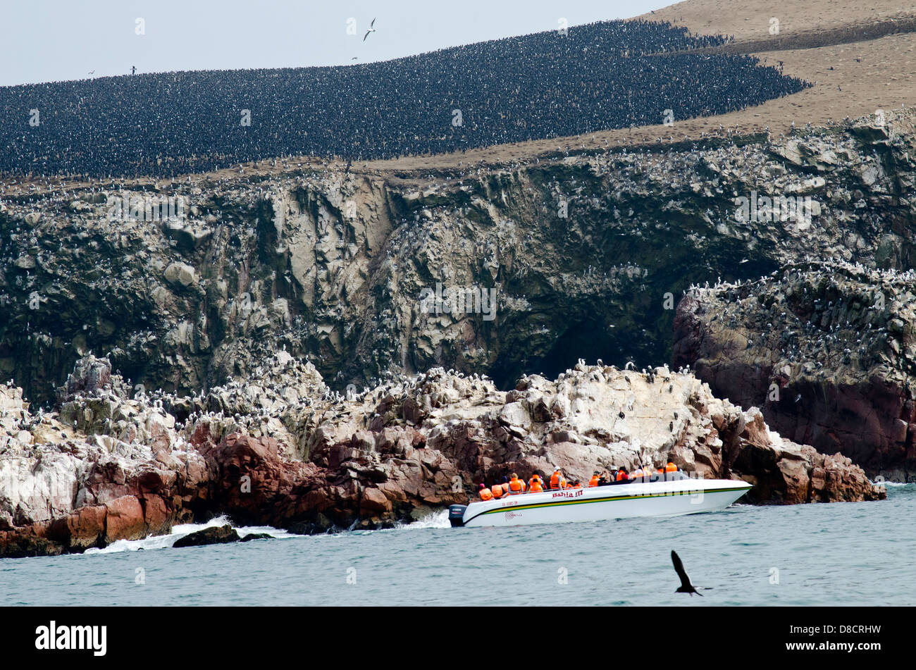 Nationalreservat Paracas. Ballestas Inseln. Peru. Touristen besuchen ...