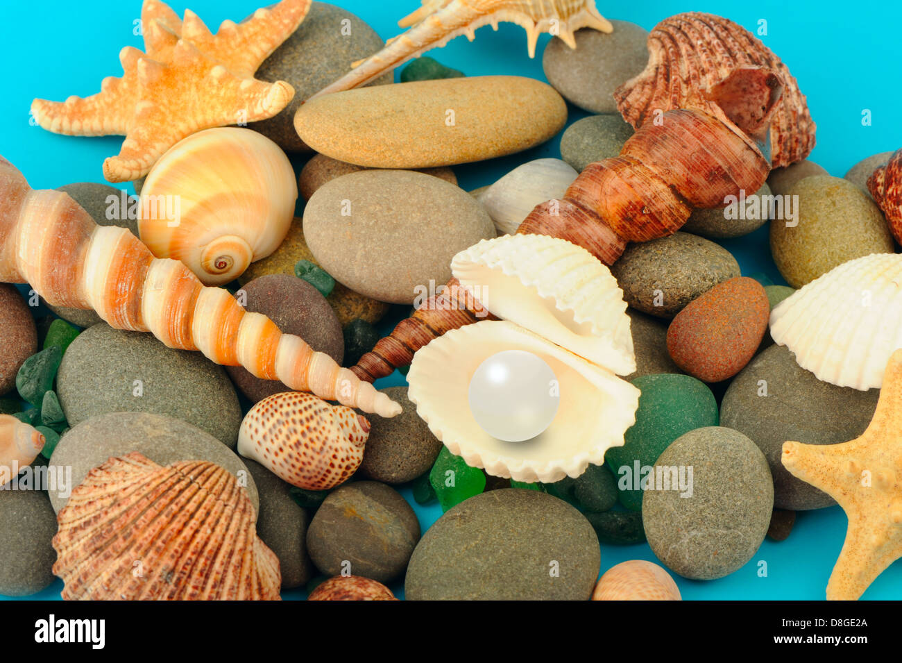 Perlseestern -Fotos und -Bildmaterial in hoher Auflösung – Alamy