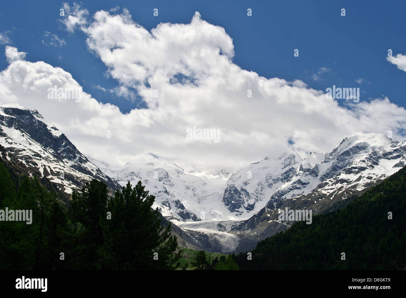 Morteratschgletscher mit piz palue -Fotos und -Bildmaterial in hoher ...