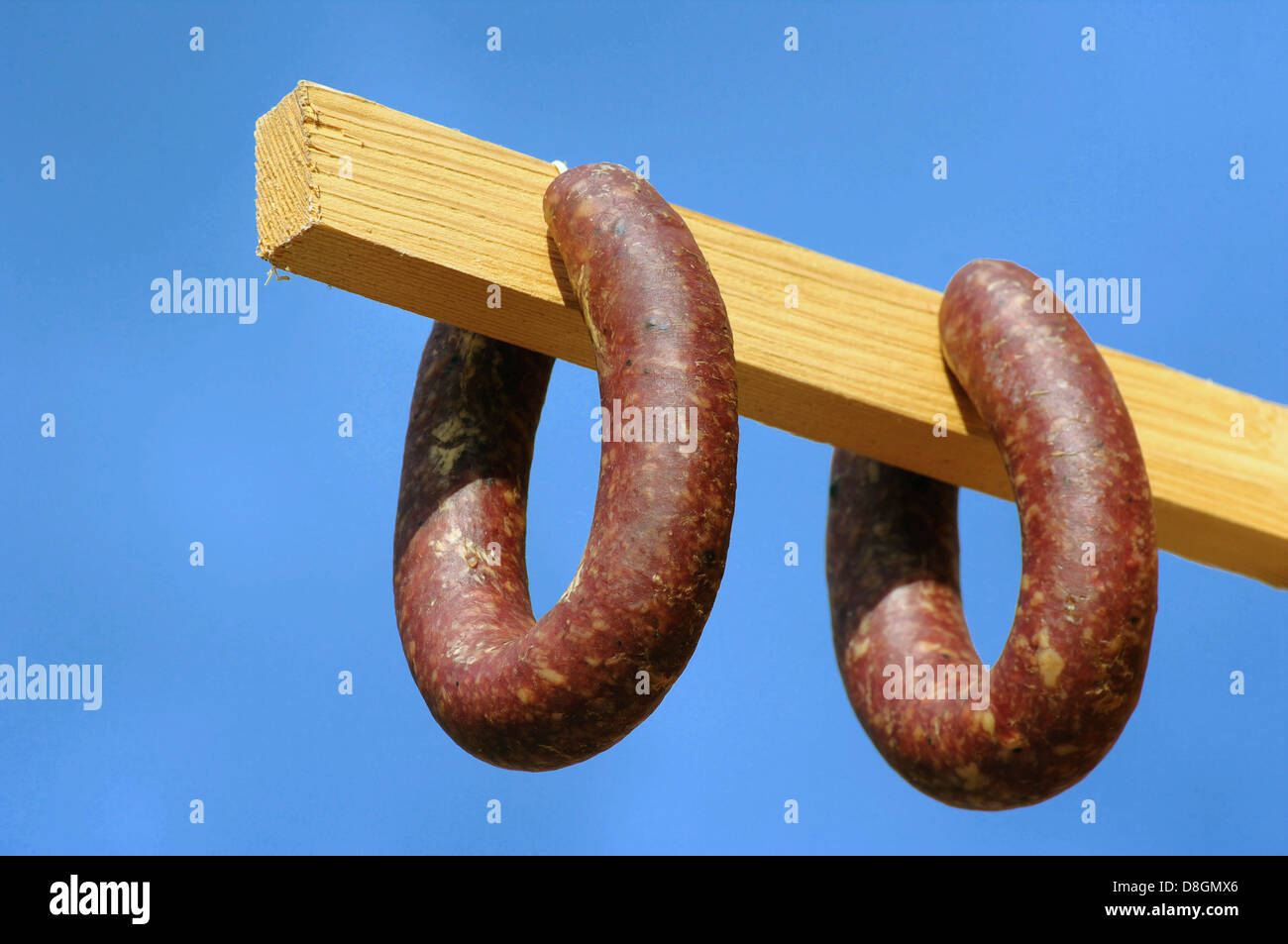Ahle wurst -Fotos und -Bildmaterial in hoher Auflösung – Alamy