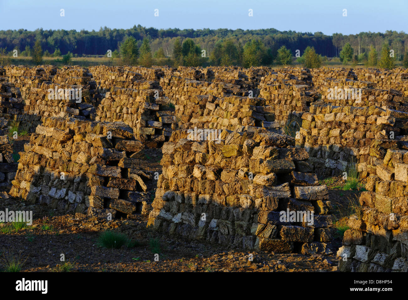 Torf Graben im Goldenstedter Moor, Niedersachsen, Deutschland ...