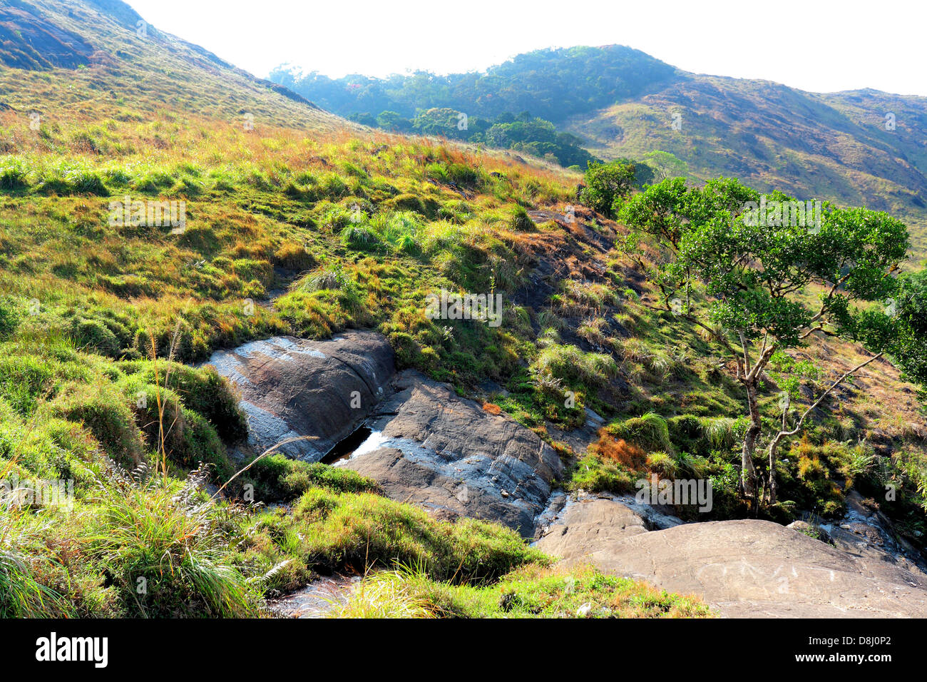 Ponmudi kerala -Fotos und -Bildmaterial in hoher Auflösung – Alamy