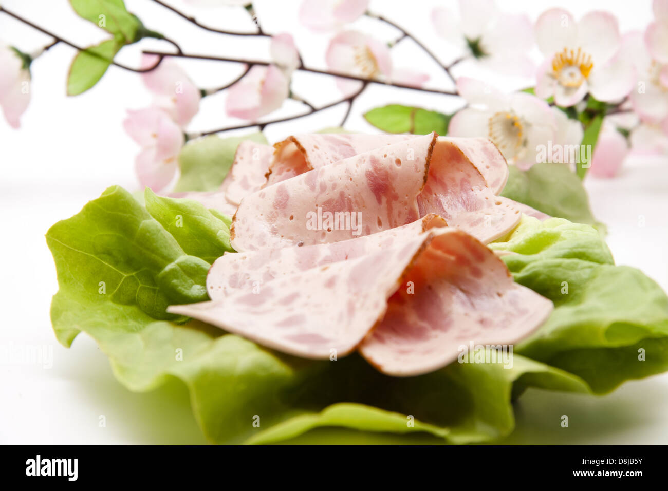 Leberblatt blume -Fotos und -Bildmaterial in hoher Auflösung – Alamy