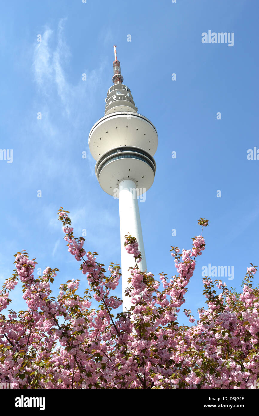Elegantes Hochster Turm Deutschlands Fotos