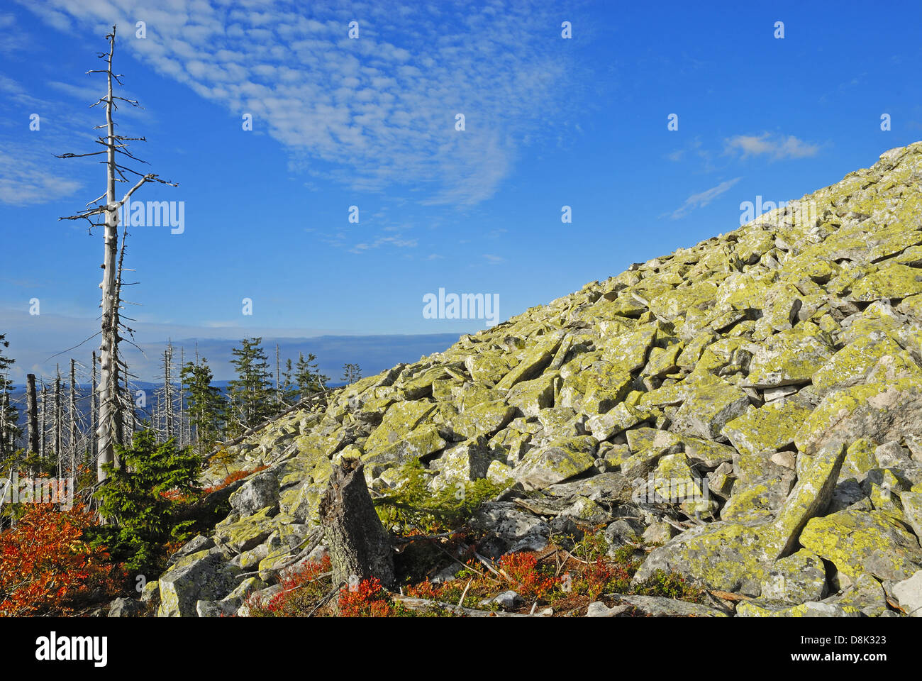 Lusen peak -Fotos und -Bildmaterial in hoher Auflösung – Alamy