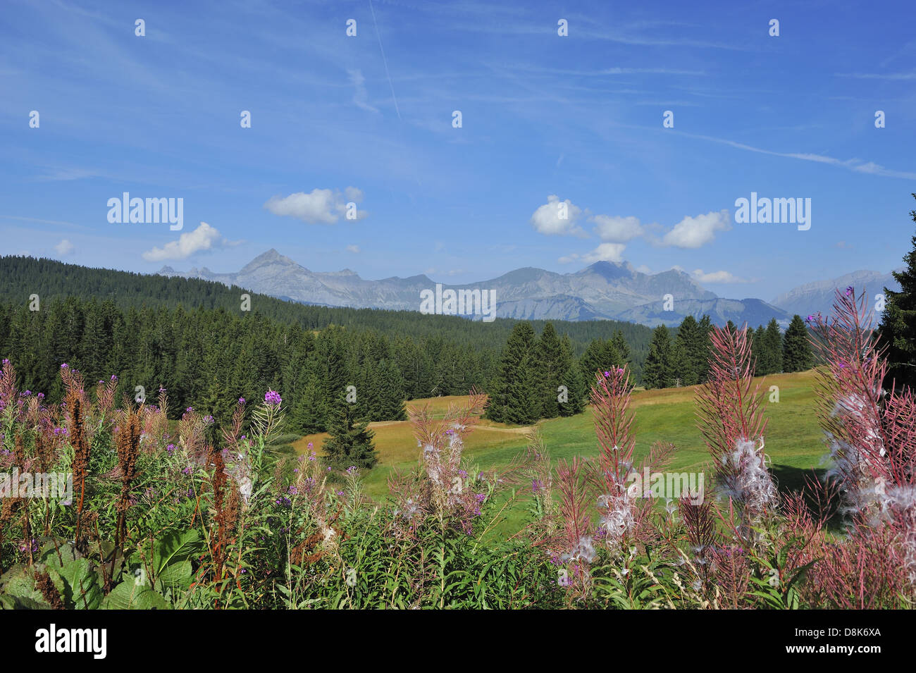 Aravis massif -Fotos und -Bildmaterial in hoher Auflösung – Alamy