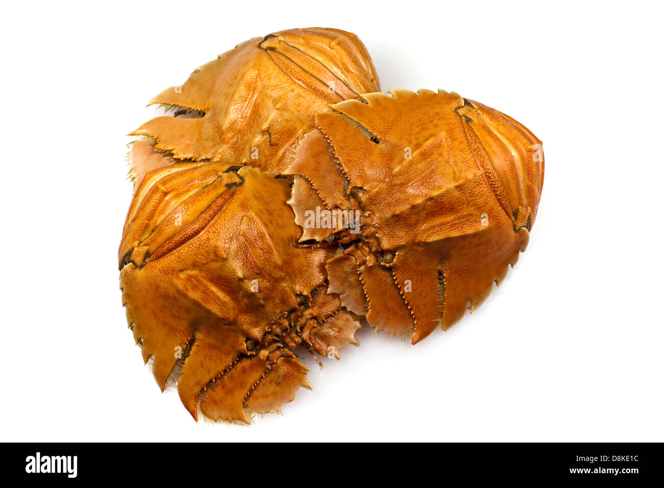 Balmain bug -Fotos und -Bildmaterial in hoher Auflösung – Alamy