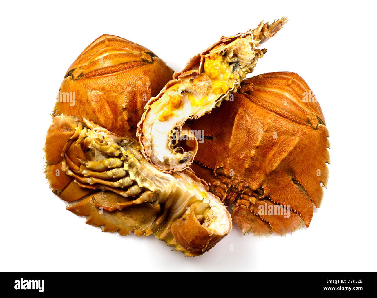 Balmain bug -Fotos und -Bildmaterial in hoher Auflösung – Alamy