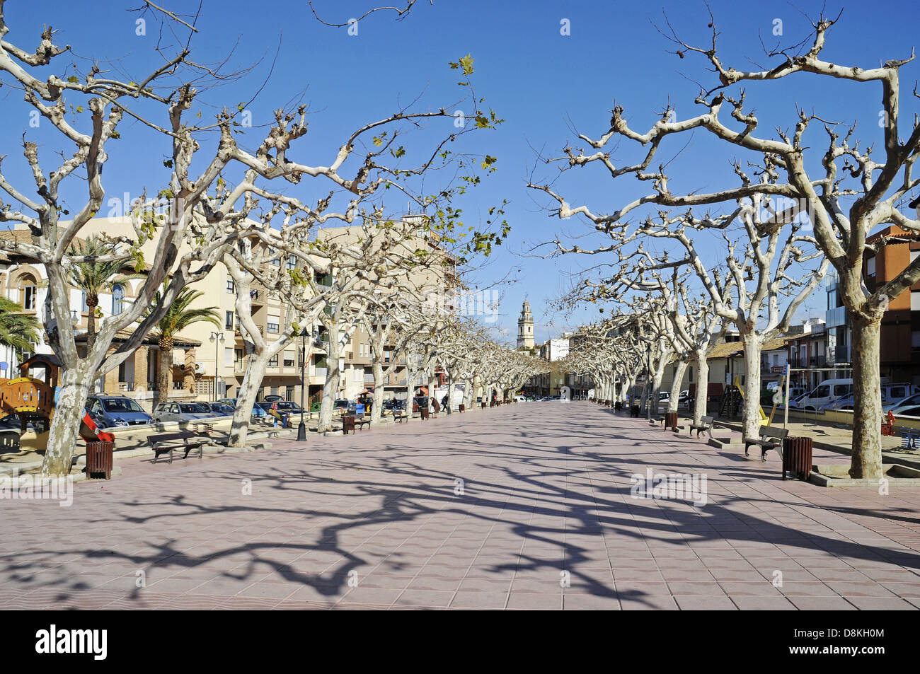 Aste aeste -Fotos und -Bildmaterial in hoher Auflösung – Alamy