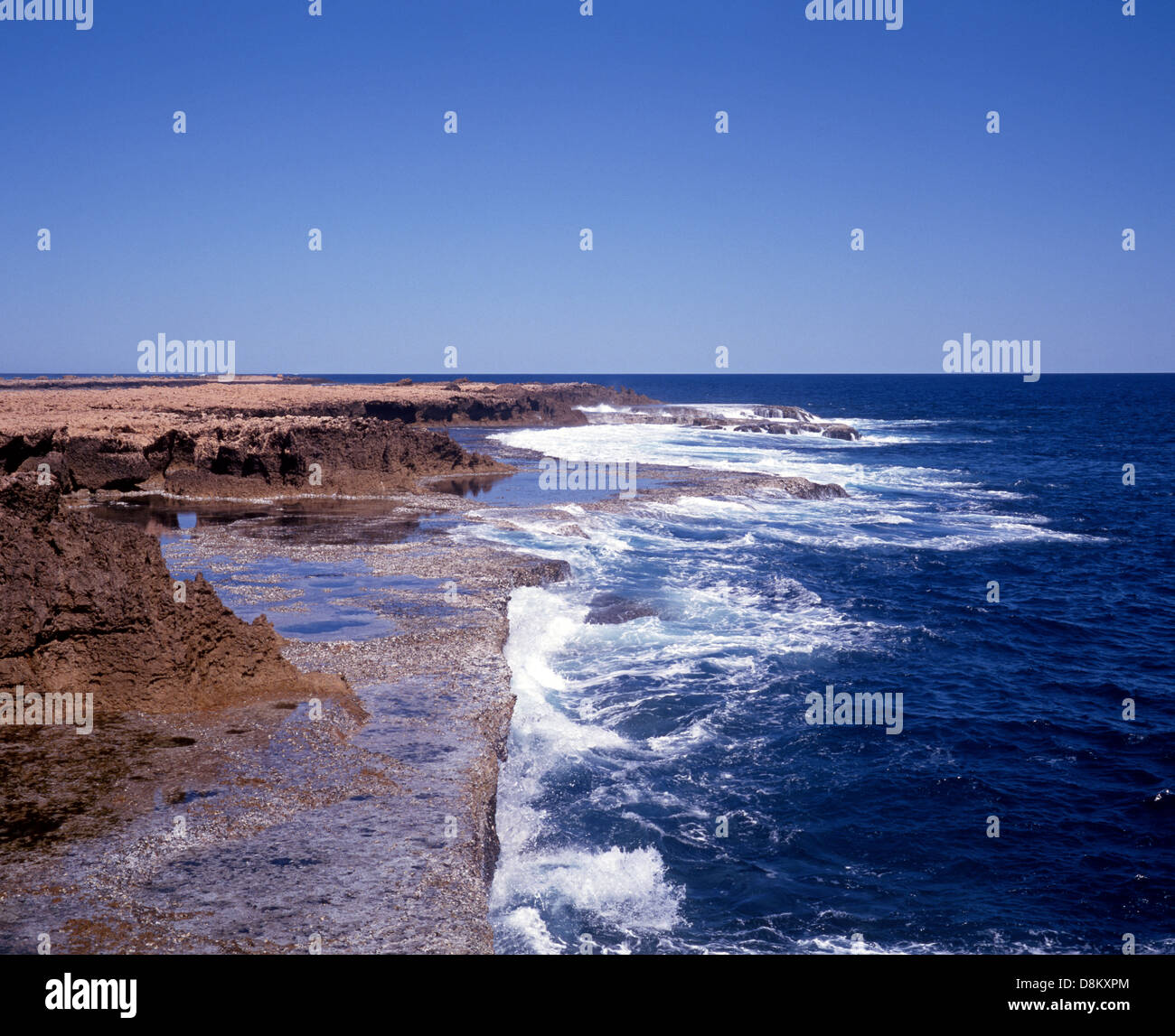 Cape cuvier -Fotos und -Bildmaterial in hoher Auflösung – Alamy