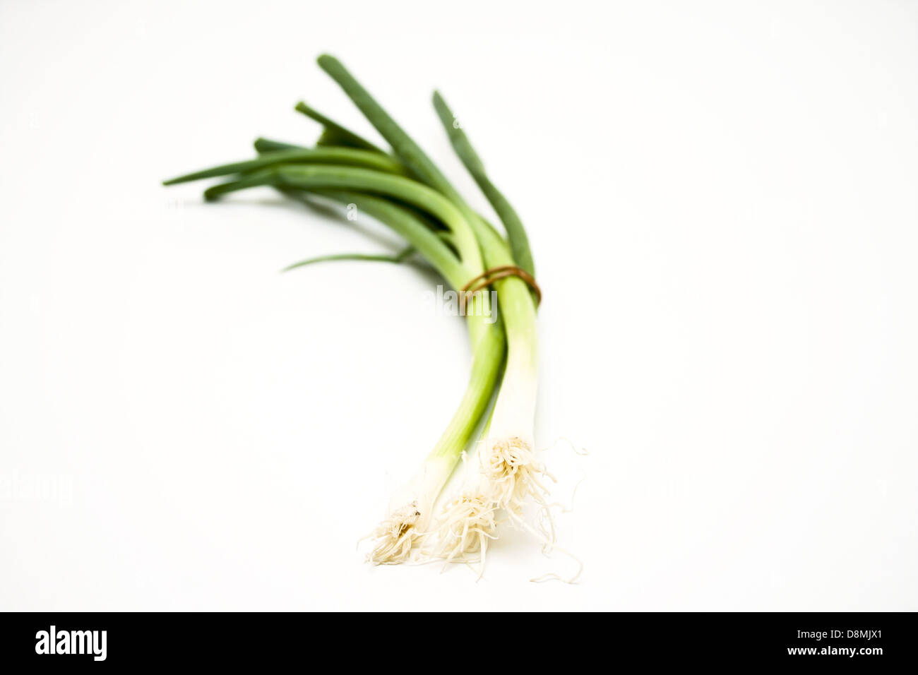 Lauch waschen -Fotos und -Bildmaterial in hoher Auflösung – Alamy