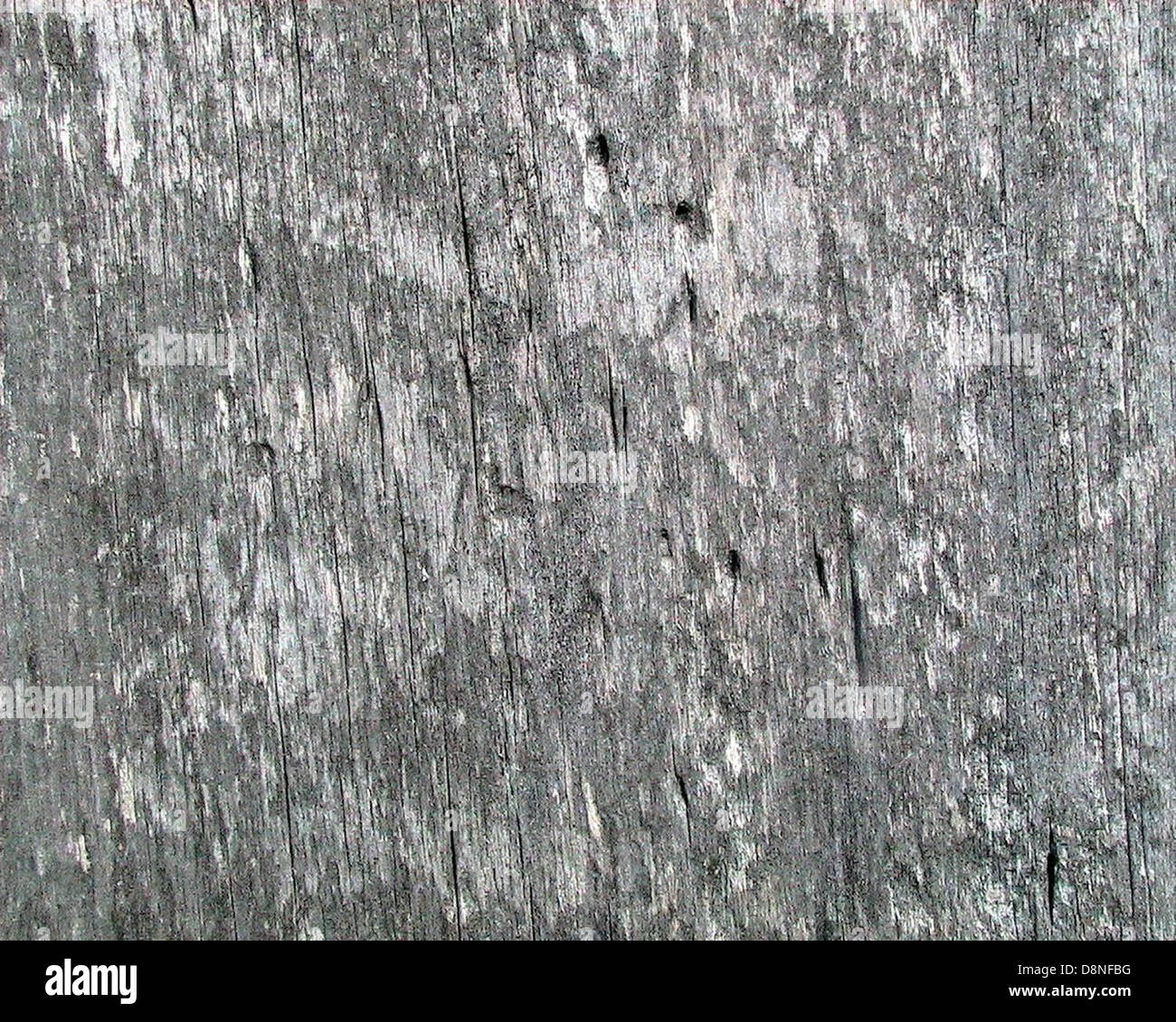 Wurmlöcher aus holz -Fotos und -Bildmaterial in hoher Auflösung – Alamy