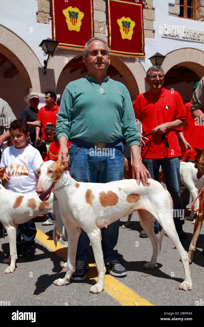 Ibizan hound -Fotos und -Bildmaterial in hoher Auflösung – Alamy
