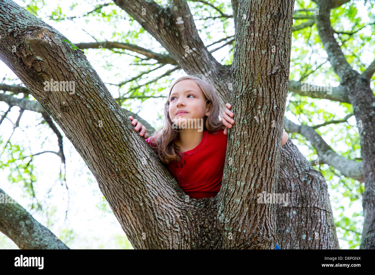 Kind baum klettern blond -Fotos und -Bildmaterial in hoher Auflösung ...