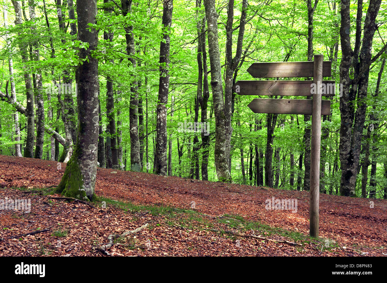 Holz wegweiser -Fotos und -Bildmaterial in hoher Auflösung – Alamy