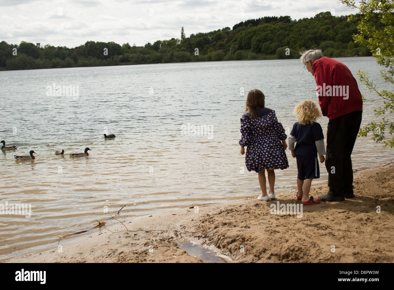 Enten kinder -Fotos und -Bildmaterial in hoher Auflösung – Alamy