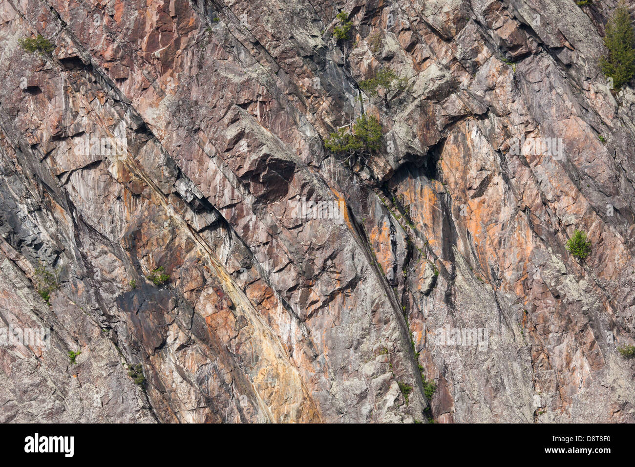 Eine Detailansicht des Granit-Felswand von Mazinaw Rock am Mazinaw See ...