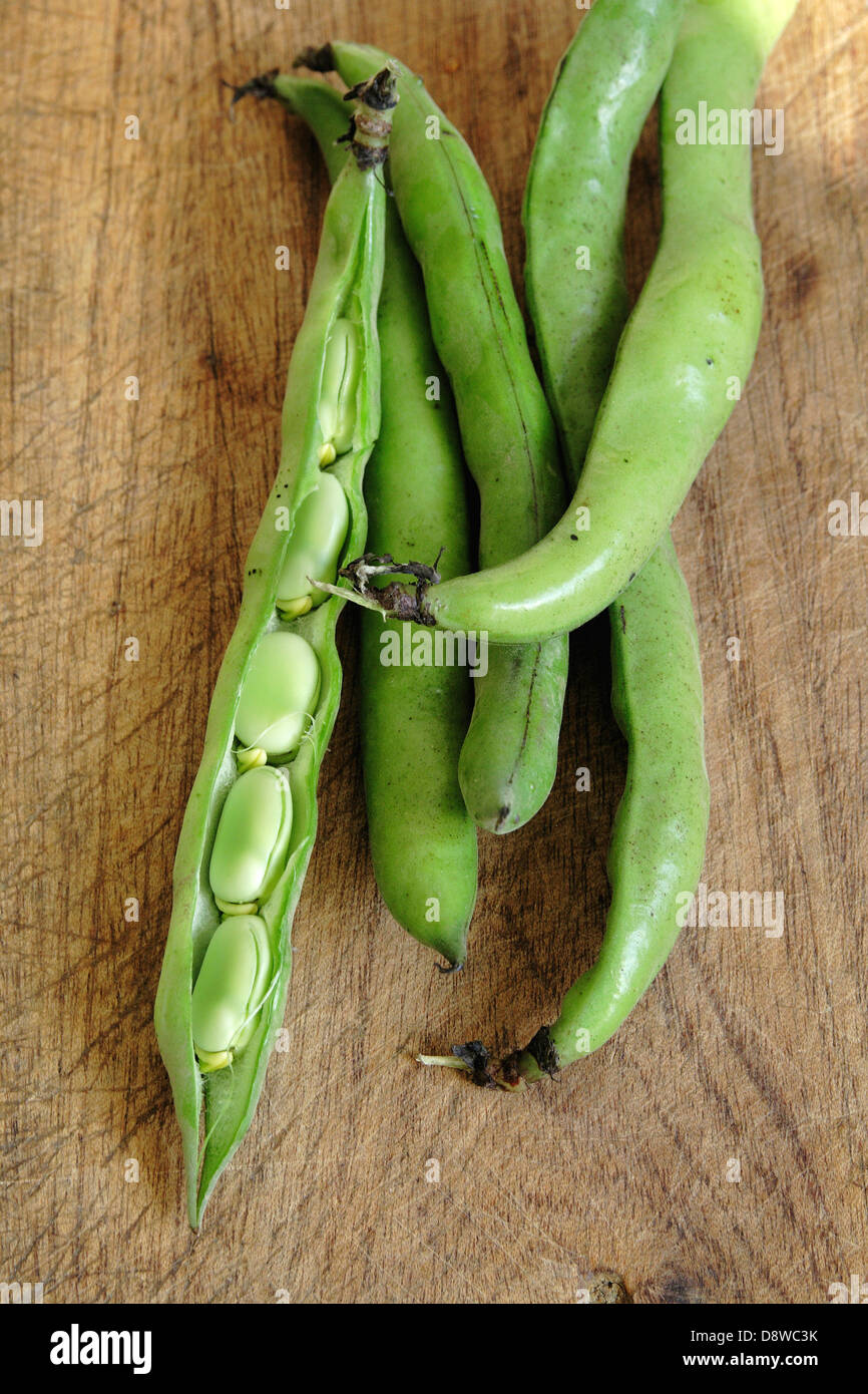 Fava bohnen -Fotos und -Bildmaterial in hoher Auflösung – Alamy