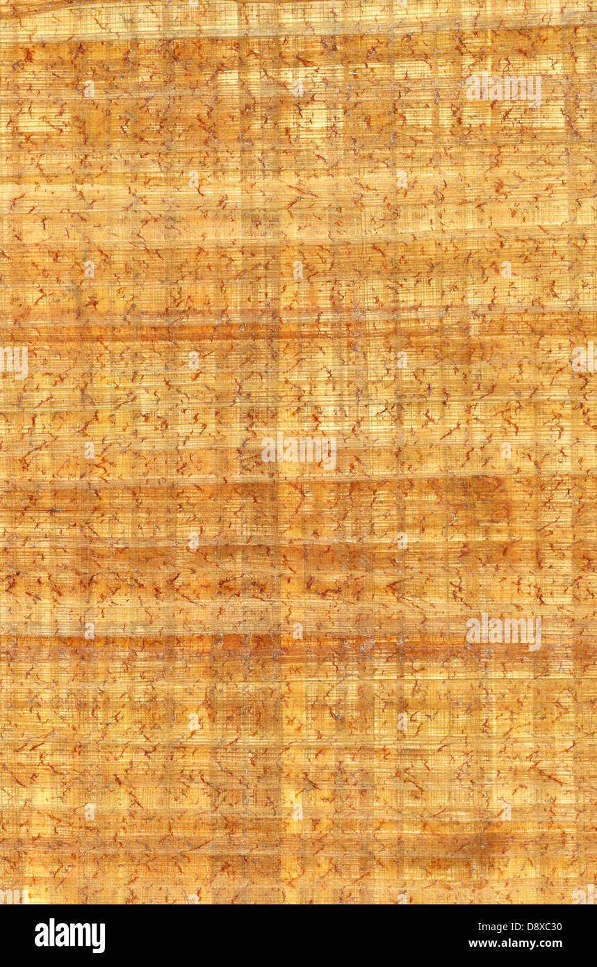 Egyptian papyrus background -Fotos und -Bildmaterial in hoher Auflösung ...