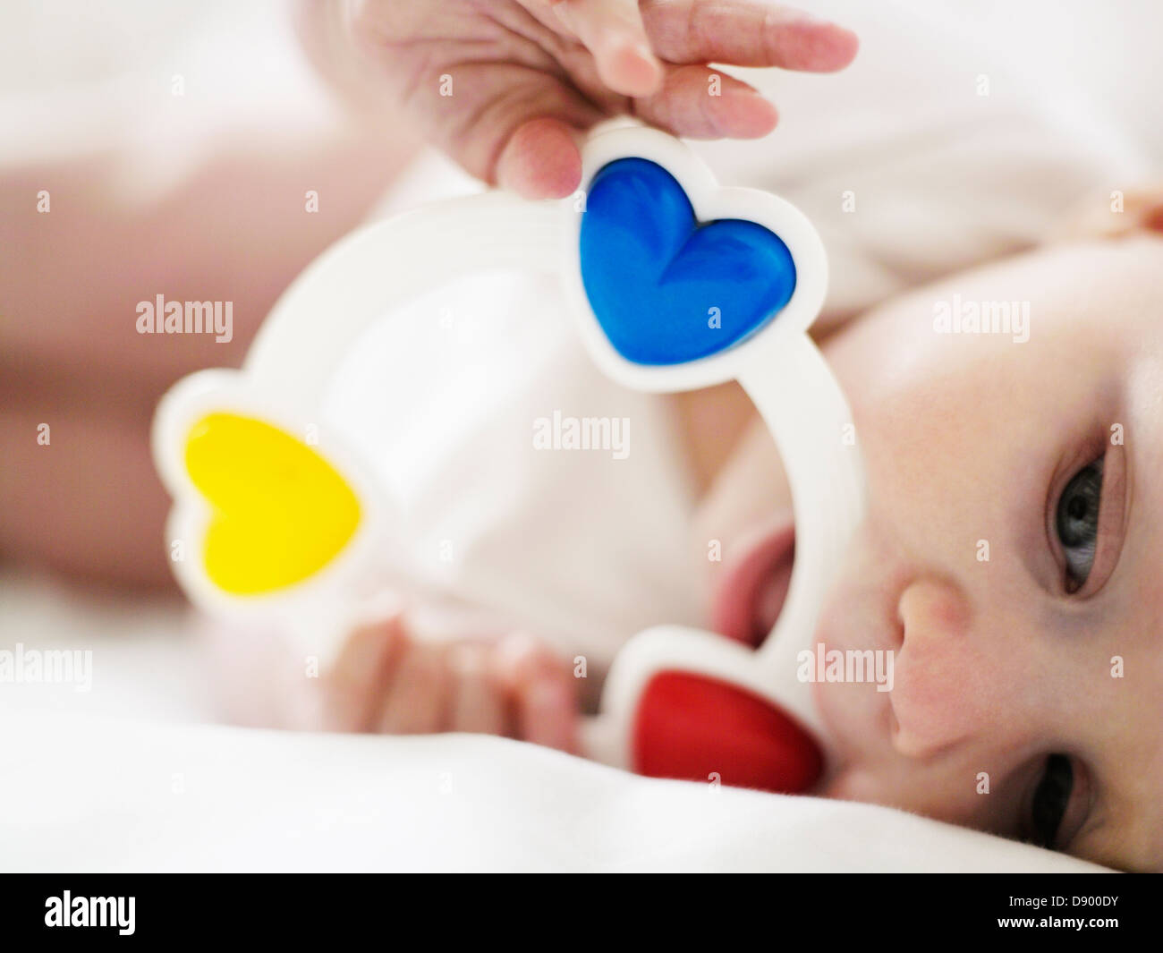 Rassel baby -Fotos und -Bildmaterial in hoher Auflösung – Alamy