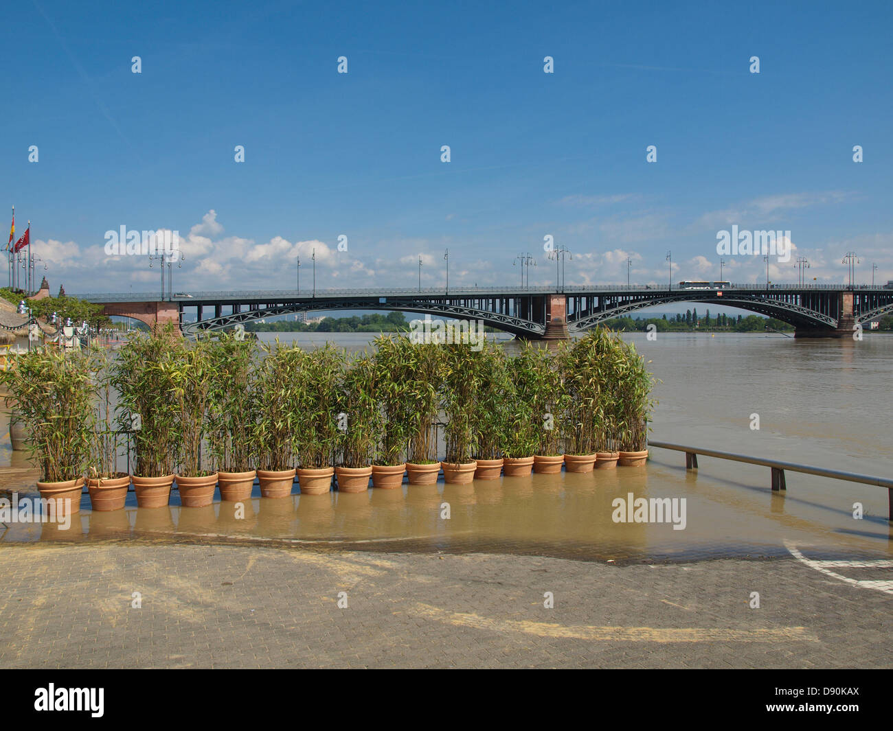Hochwasser rhein 2013 -Fotos und -Bildmaterial in hoher Auflösung – Alamy