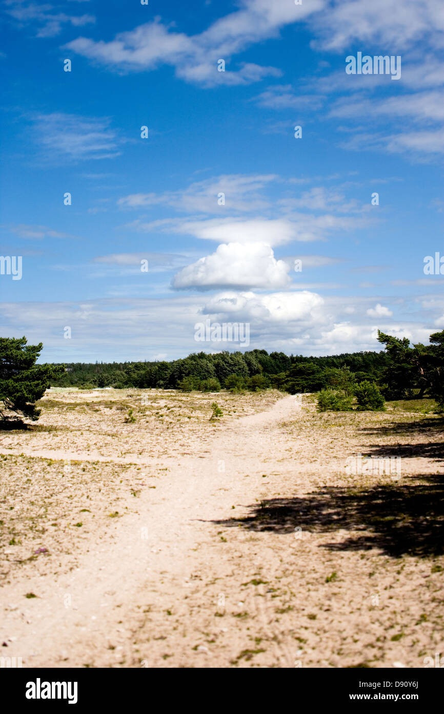 Gotland beach -Fotos und -Bildmaterial in hoher Auflösung – Alamy