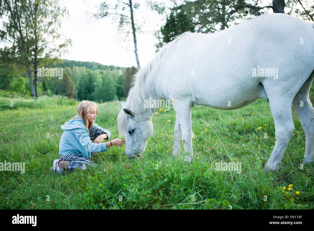 Mädchen mit pferd -Fotos und -Bildmaterial in hoher Auflösung – Alamy