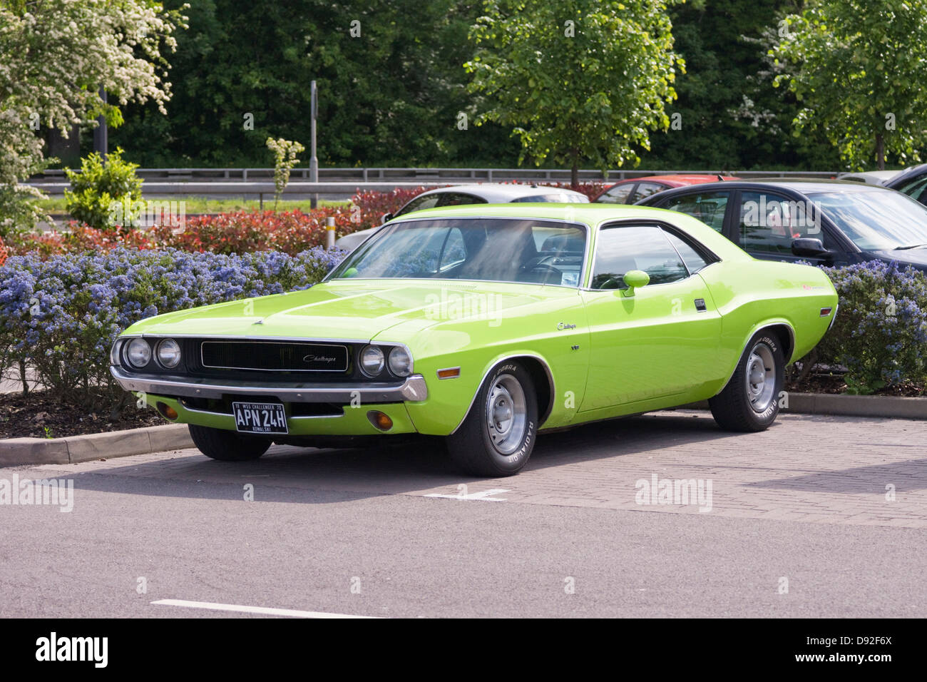 Dodge challenger 1970 -Fotos und -Bildmaterial in hoher Auflösung – Alamy