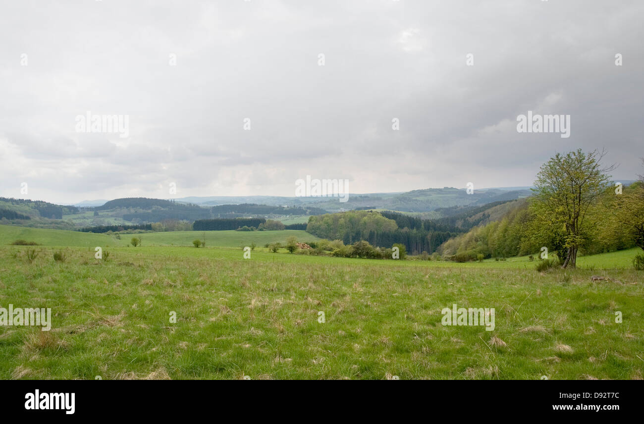 stürmischer Kulisse in der Vulkan Eifel, Wich ist eine Region in der ...