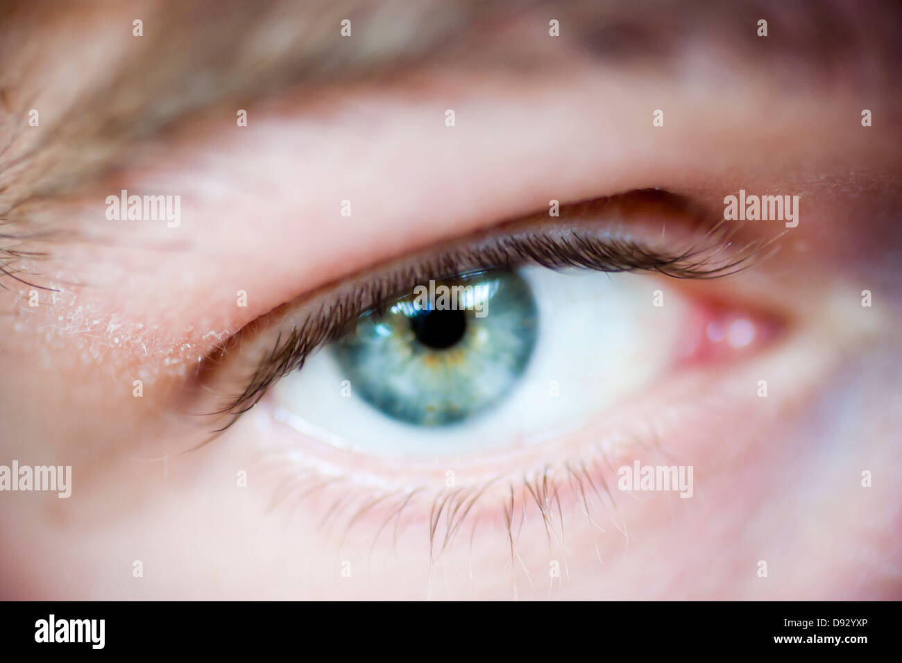 Blue Eye Stockfotos und -bilder Kaufen - Alamy