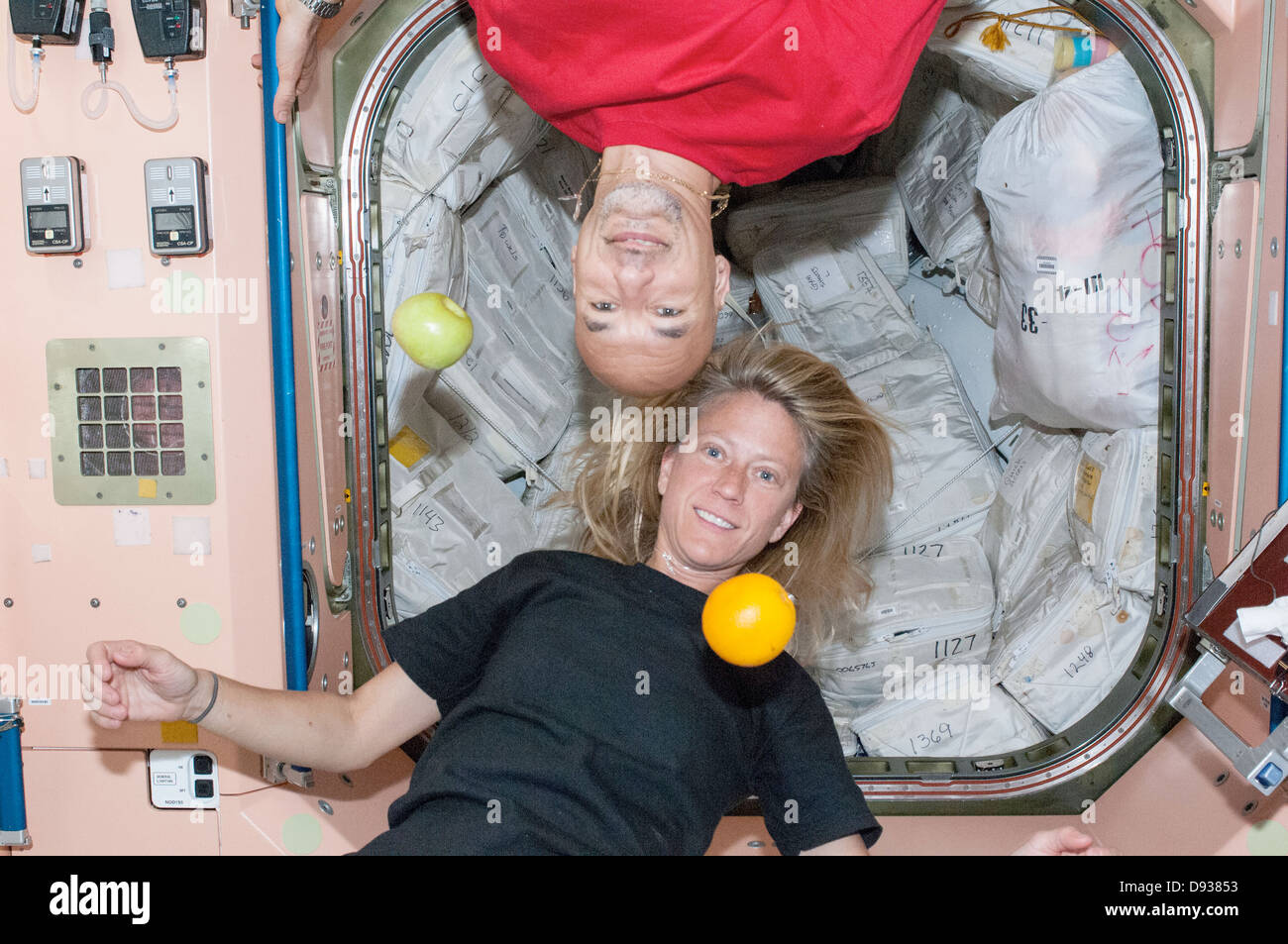 ISS-Expedition 36 Flugingenieure Karen Nyberg der NASA und Luca ...